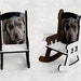 Dye Sublimation Memorial Rocking Chair Mockup | Add Your Own Image and ...