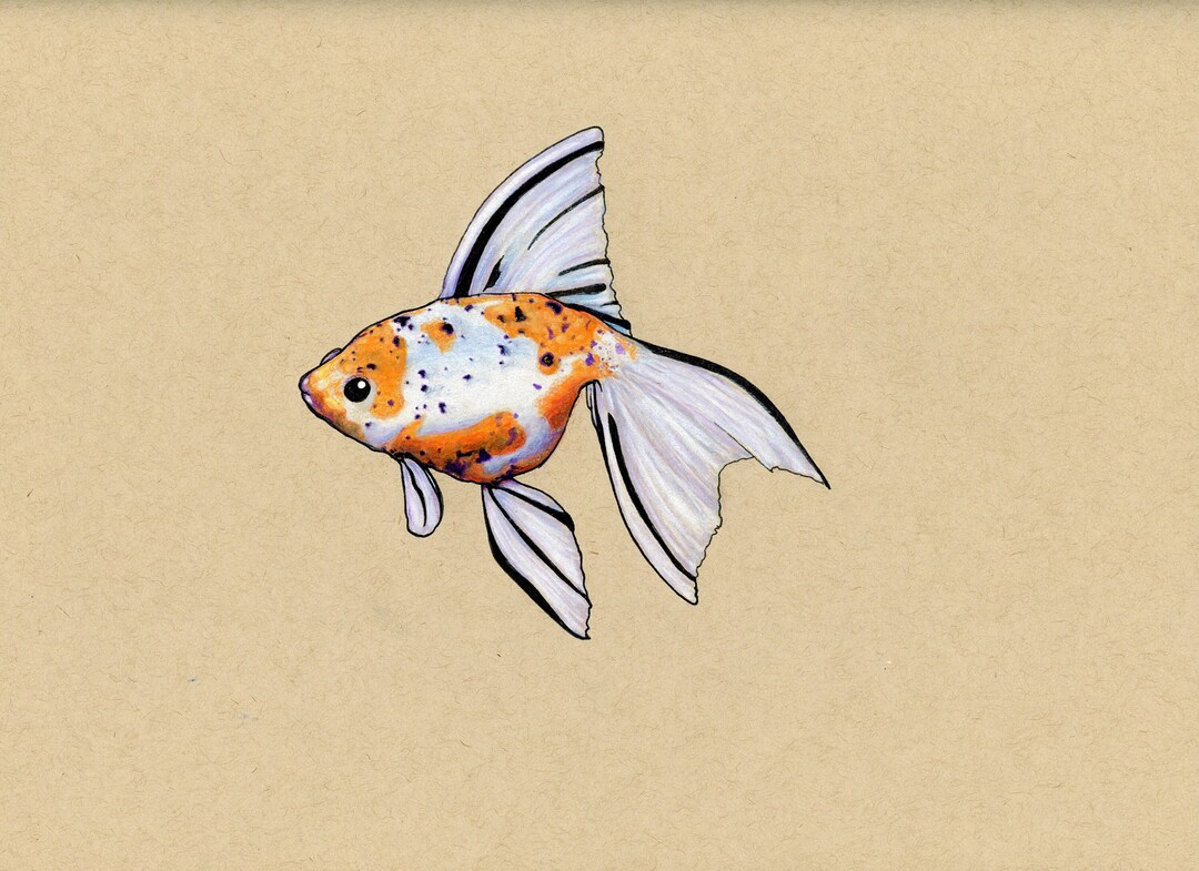Spotted Fancy Goldfish ORIGINAL 9x12 Artwork - Etsy