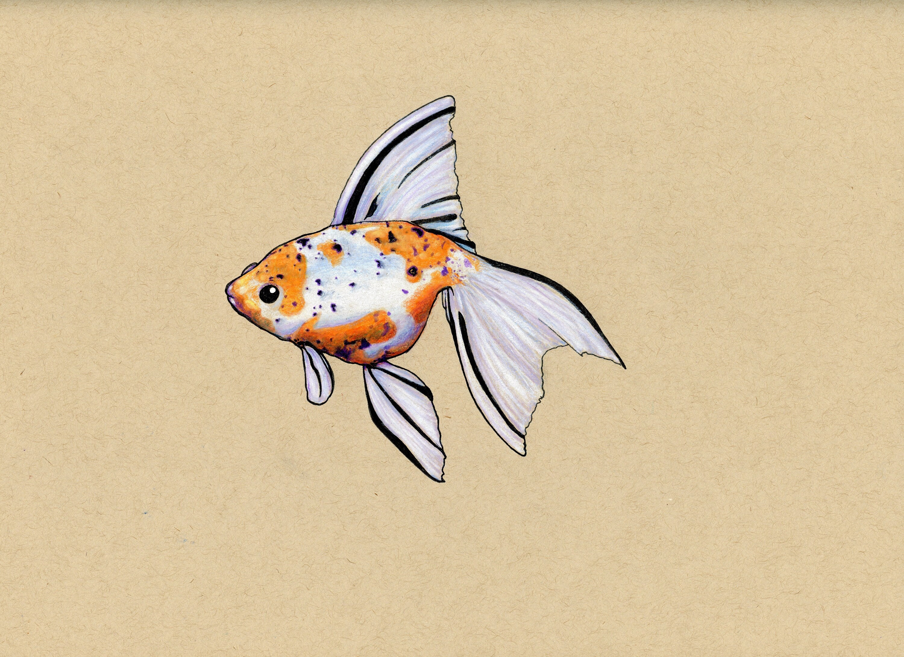 Spotted Fancy Goldfish ORIGINAL 9x12 Artwork - Etsy