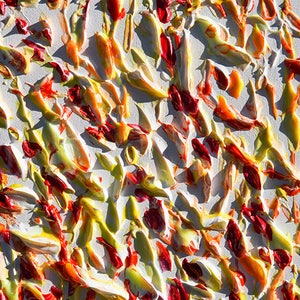 40",flame Fire Pop Art,signature Painting,original Abstract Fire ...