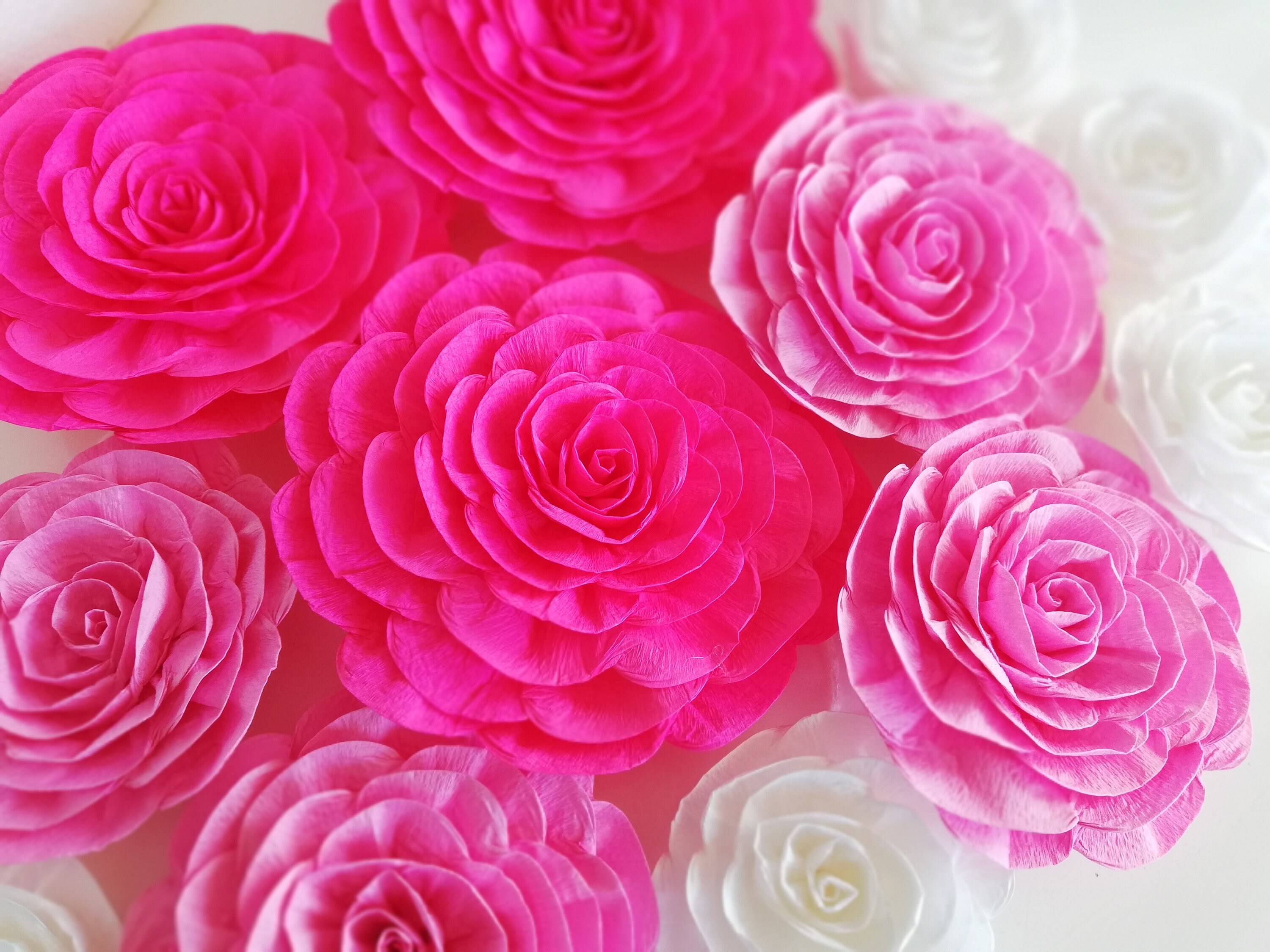 Hot Pink White large Paper Flowers Paper Flower Wall Decor | Etsy