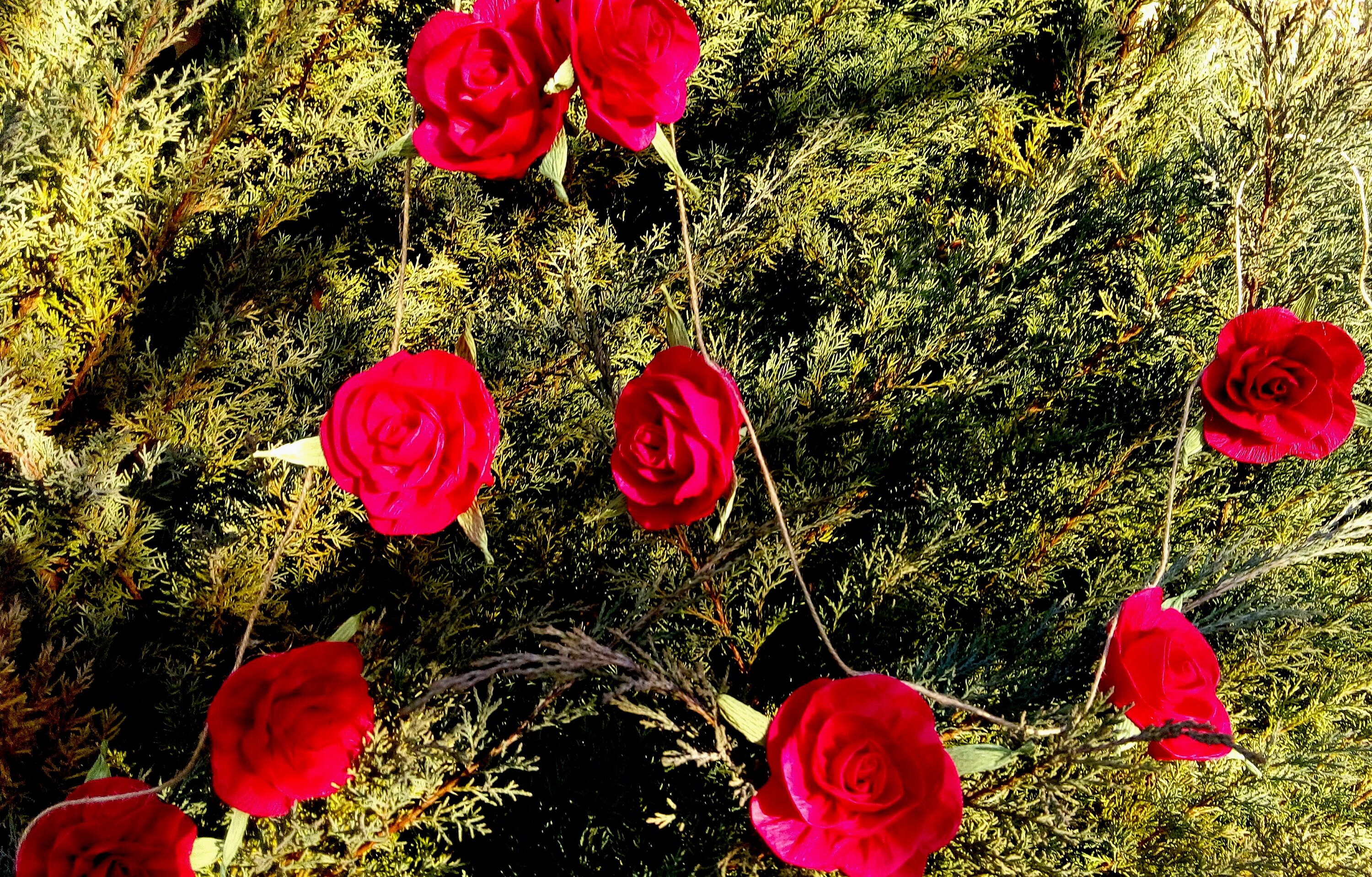 Large Royal Red Rose Crepe Paper Garland Wedding Backdrop - Etsy
