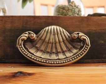 Shell Drawer Pull - Etsy
