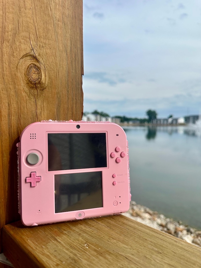Bubblegum Gamer - Custom 2DS Case - Etsy