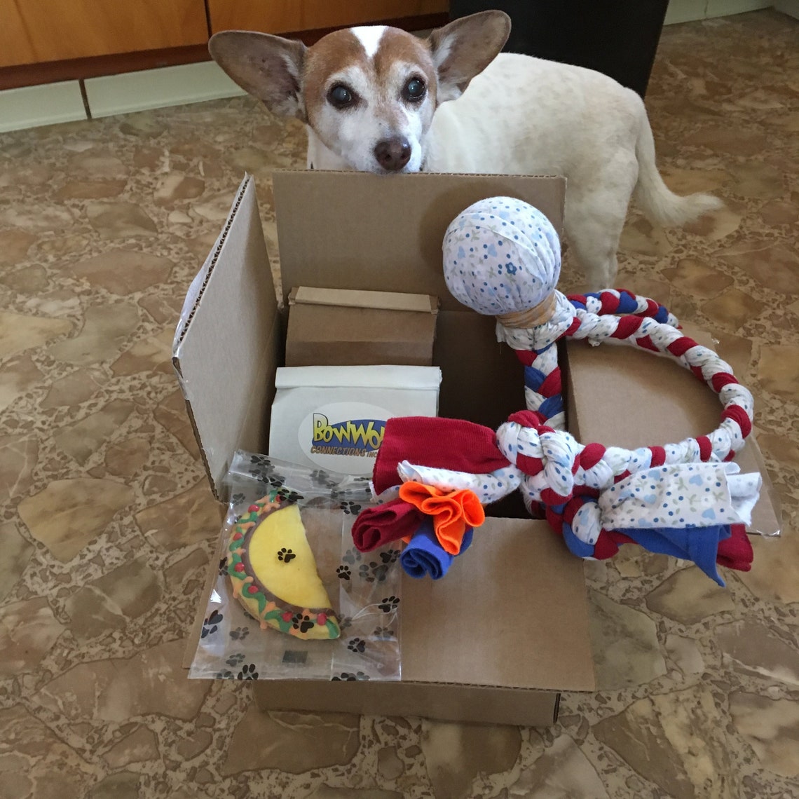 Pet Care Packages Dogs or Cats - Etsy