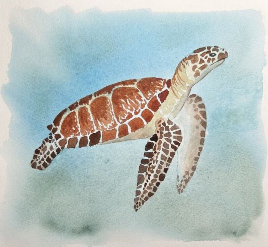 Sea Turtles Rock! - Etsy