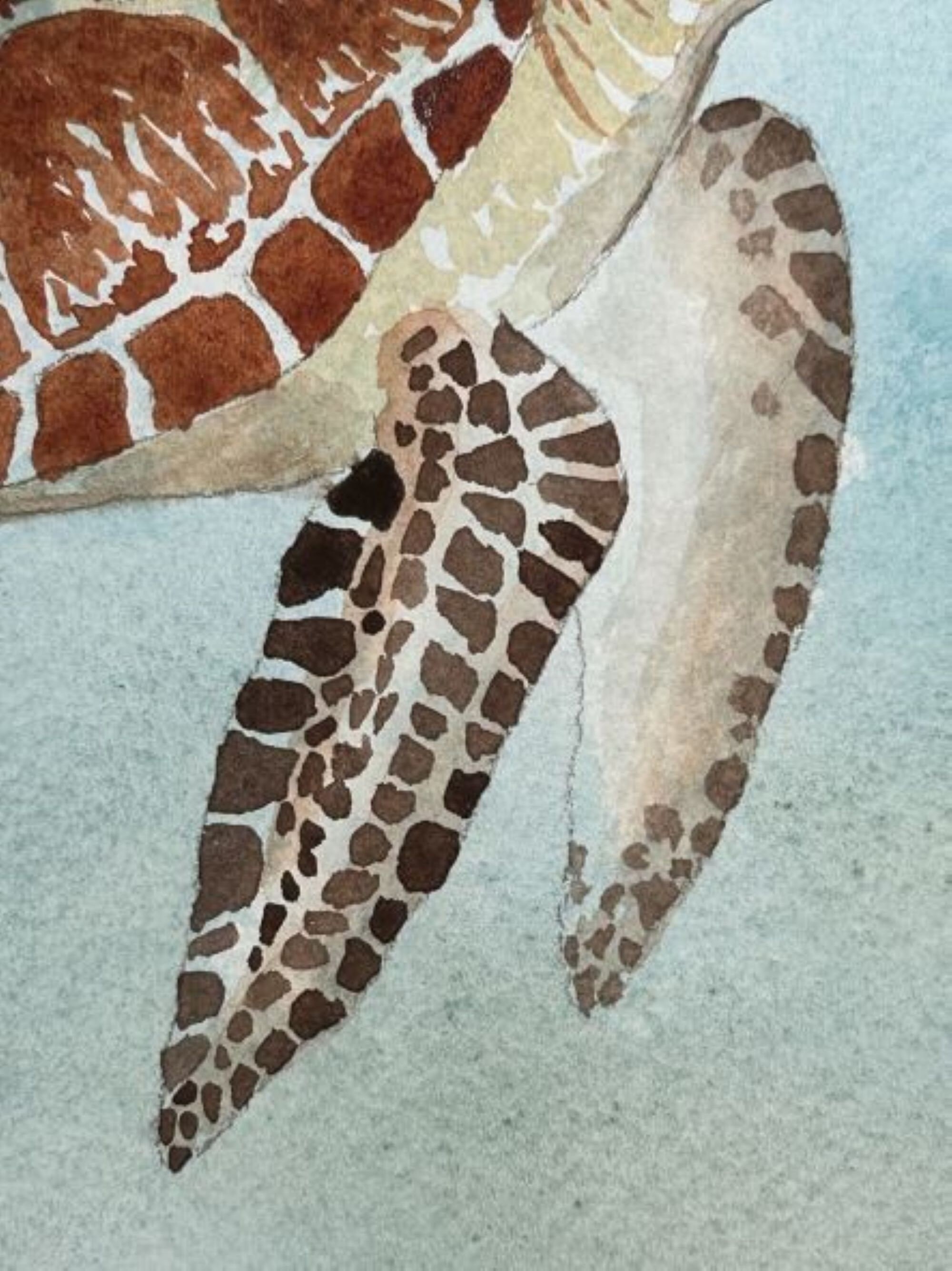 Sea Turtles Rock! - Etsy