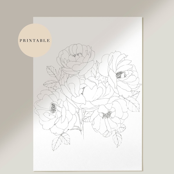 David Austin Roses - Etsy