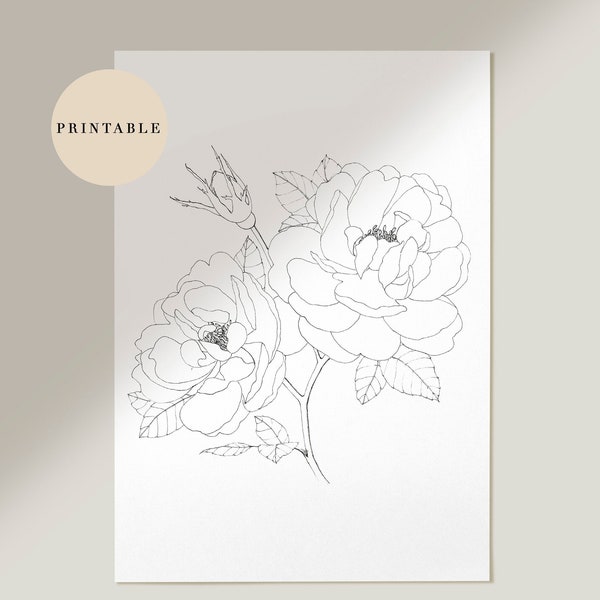 David Austin Roses - Etsy