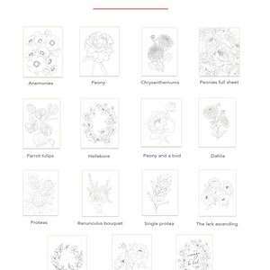 Floral Coloring Book for Adults and Kids, PDF Printable Flower Coloring ...