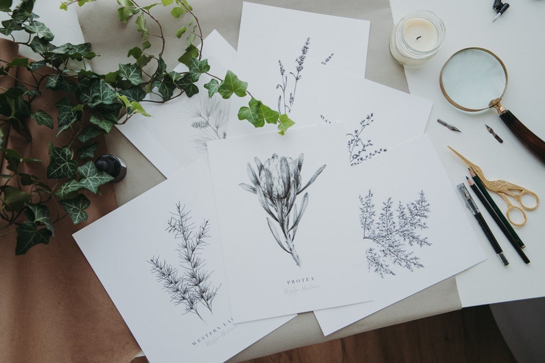 Botanical Flower Print, Western Larch Giclee Print, Black and White ...