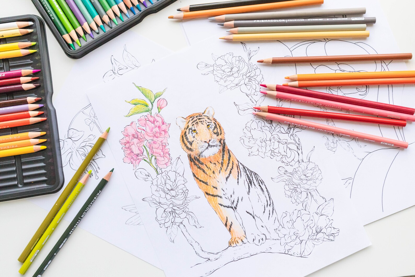Flora and Fauna Coloring Book Flowers and Animals Coloring - Etsy
