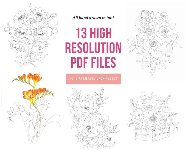 Flower Coloring Book 2 for Adults and Kids, PDF Printable Floral ...