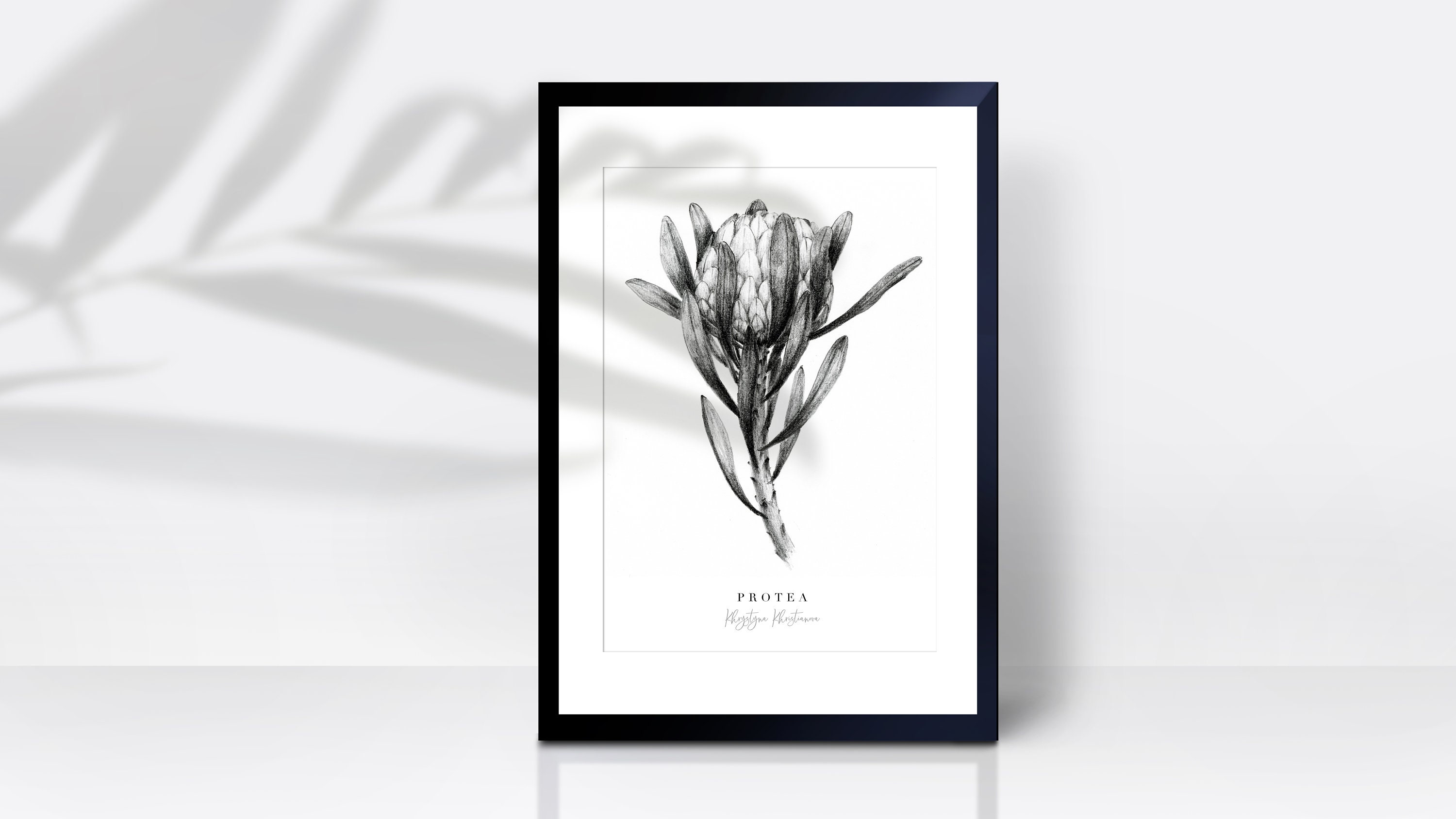 Printable Protea Print Flower Illustration, Black and White, Instant ...