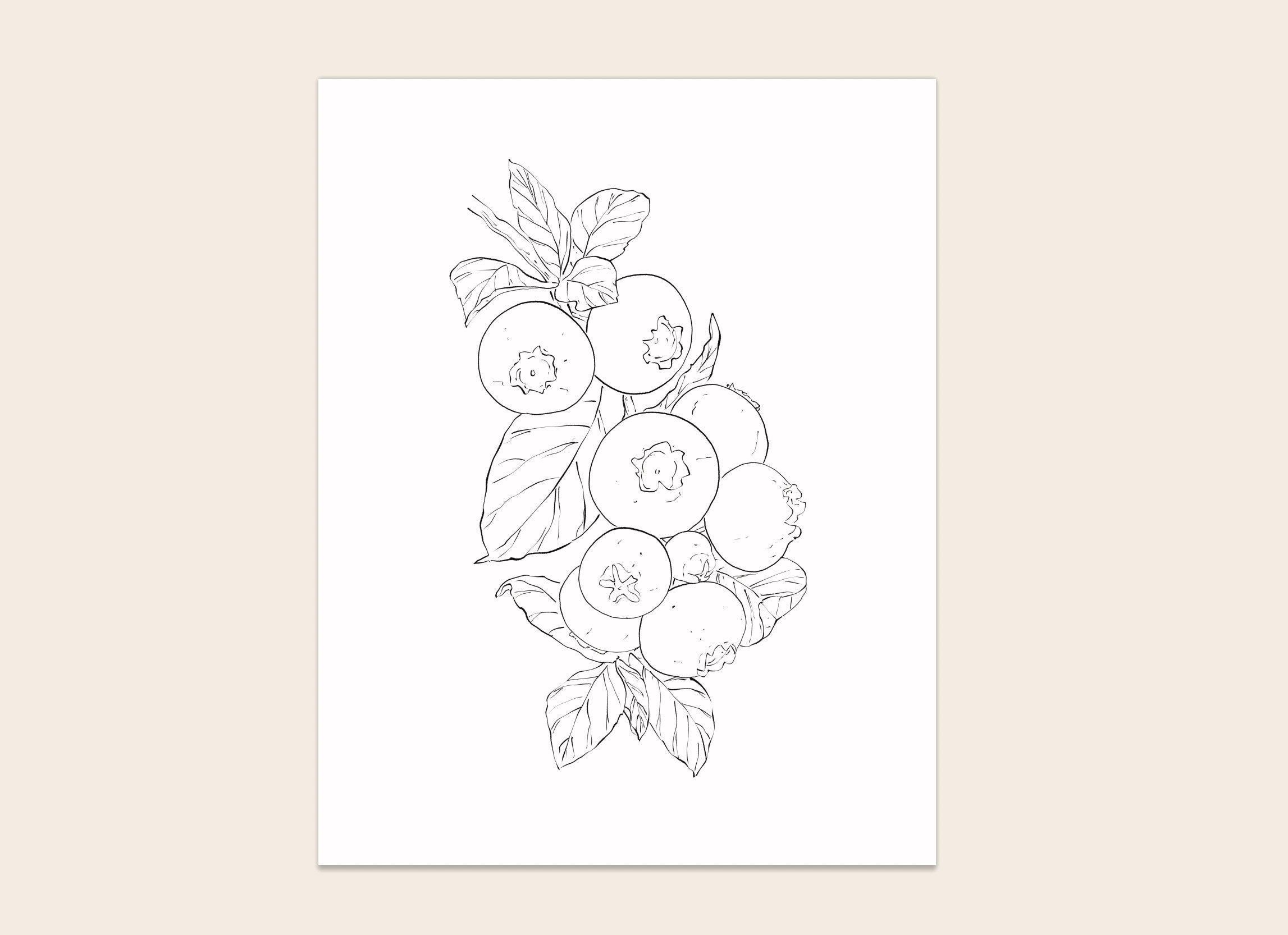 PRINTABLE Blueberry Print Illustration Minimalistic Food Art | Etsy