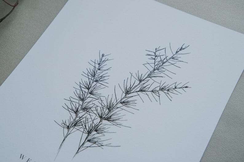 Botanical Flower Print, Western Larch Giclee Print, Black and White ...