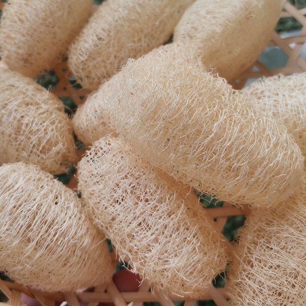 Luffa Sponge - Etsy