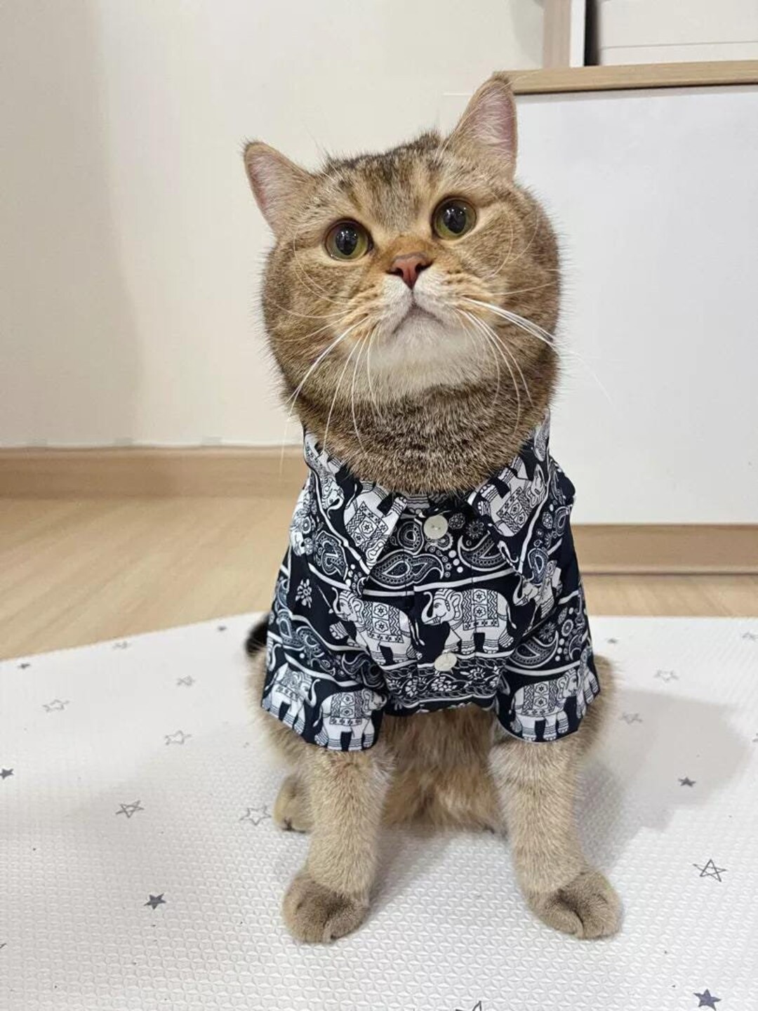 Cat Dog Clothes Thai Traditional Fashion Elephant Shirt Dress Funny Pet ...