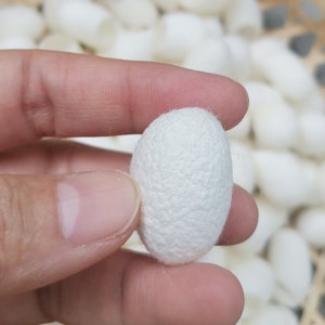 Organic White Silk Cocoons for Facial Scrub, Gentle Scrub for Sensitive ...