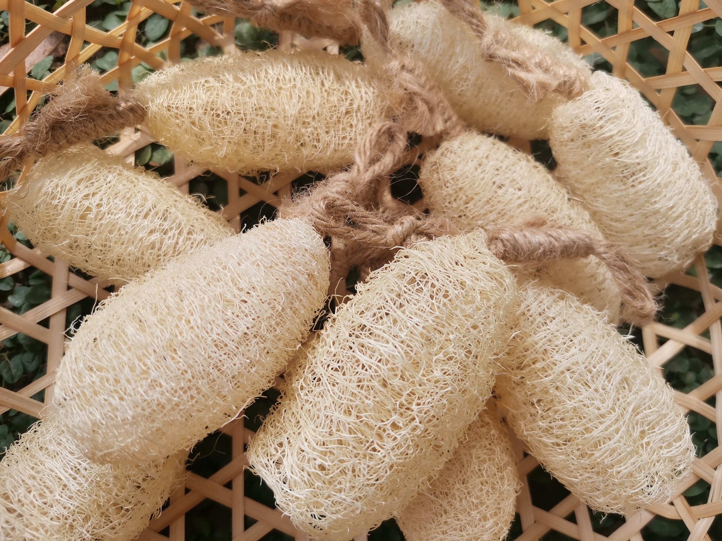 Lot of 5-6cm Luffa With Rope Organic Body Scrub Soap Craft - Etsy