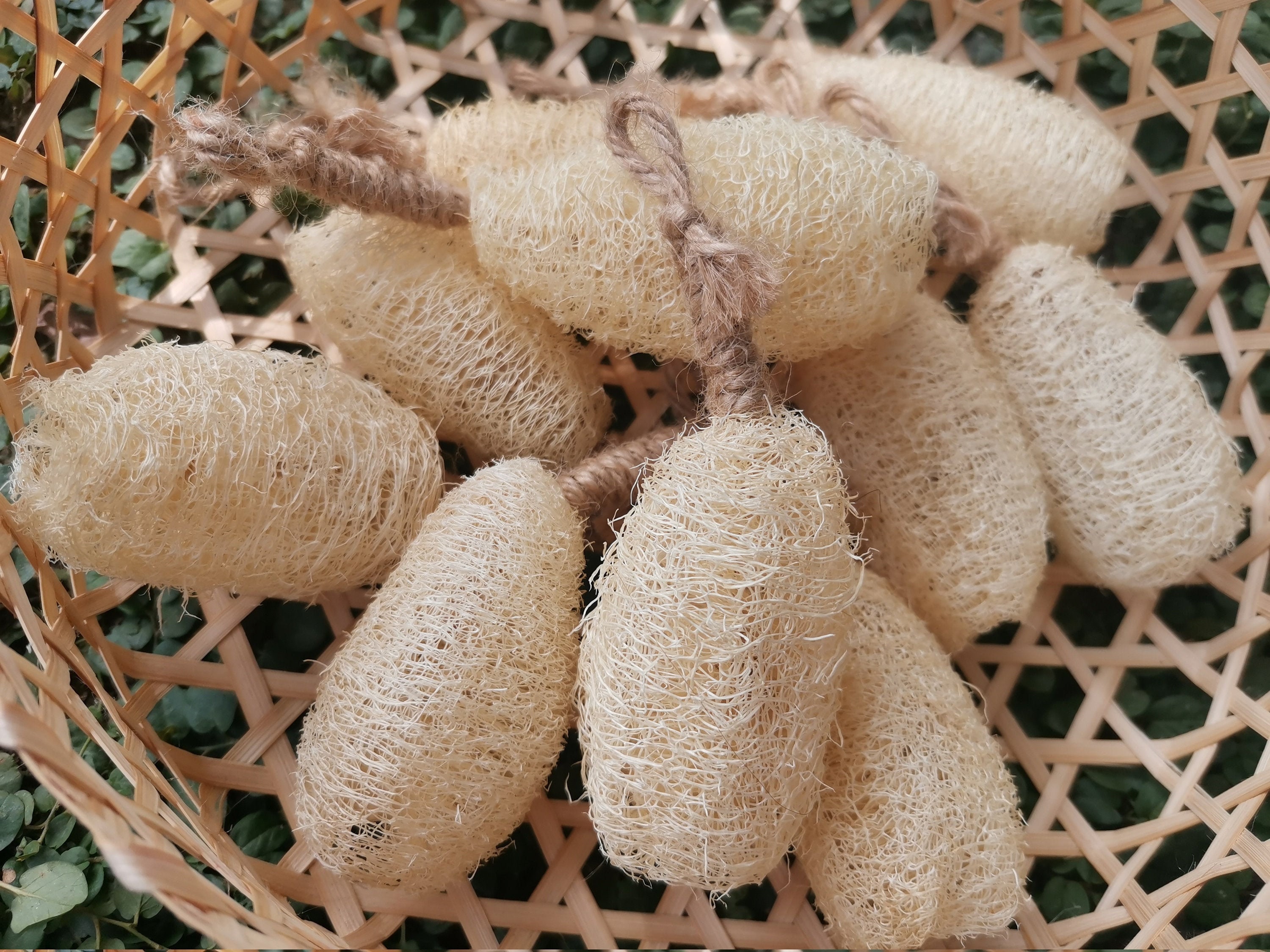 Lot of 5-6cm Luffa With Rope Organic Body Scrub Soap Craft - Etsy
