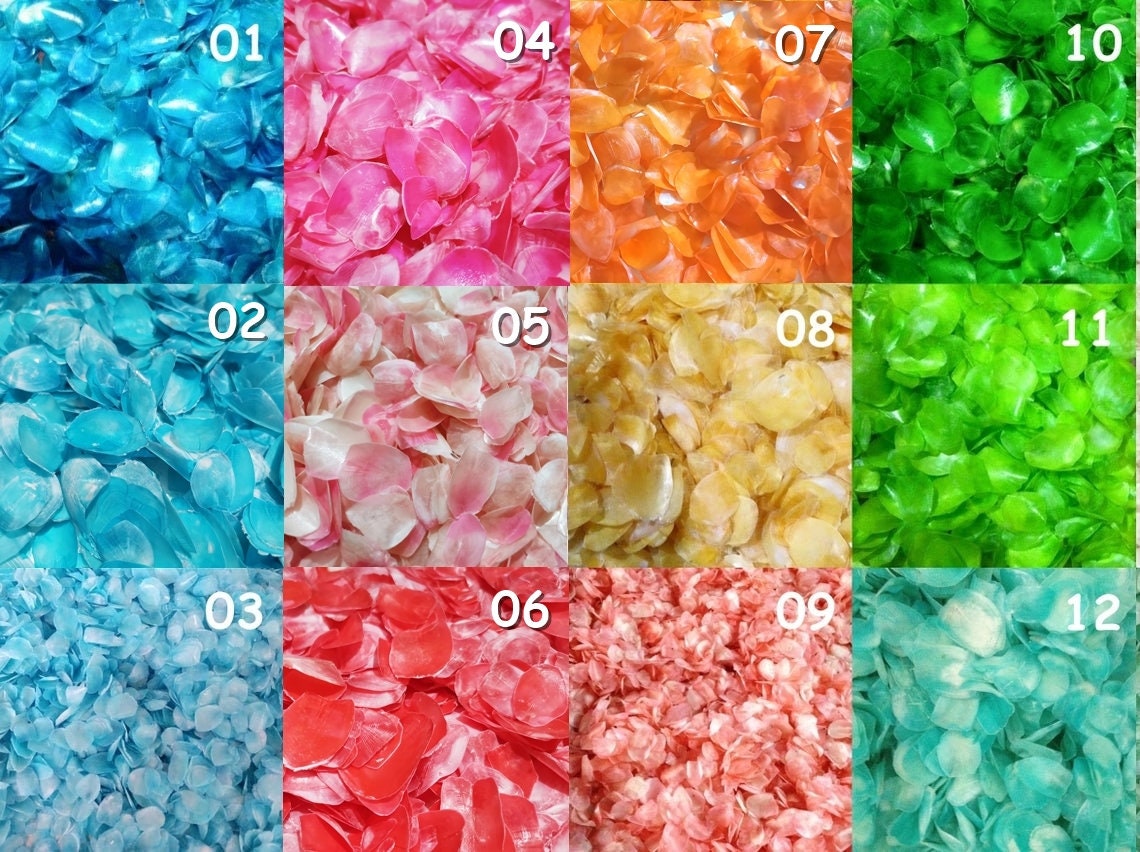 Genuine Dyed Fish Scale 100g Natural Craft Supplies Mosaic - Etsy