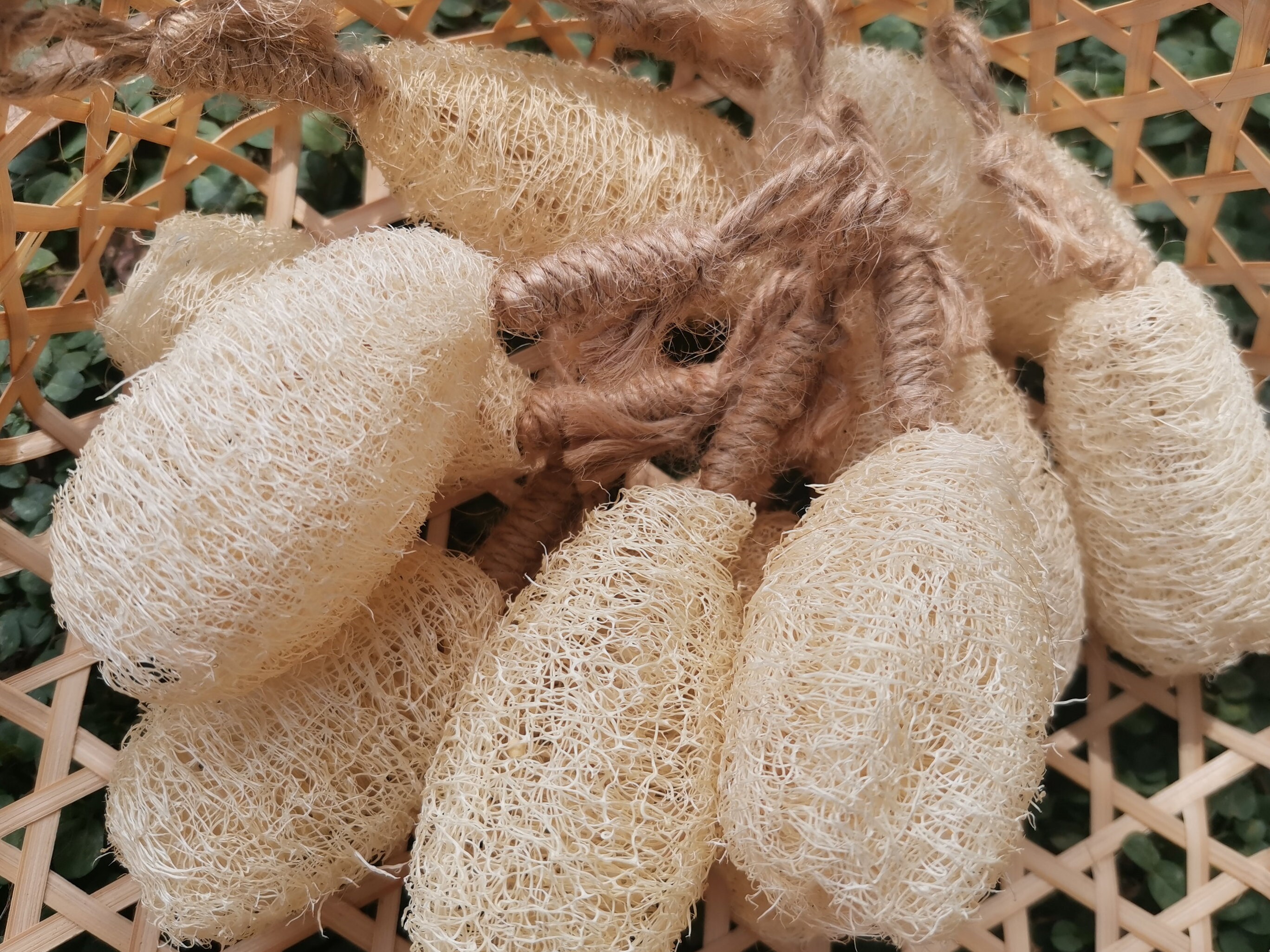 Lot of 5-6cm Luffa with rope Organic body scrub Soap craft | Etsy