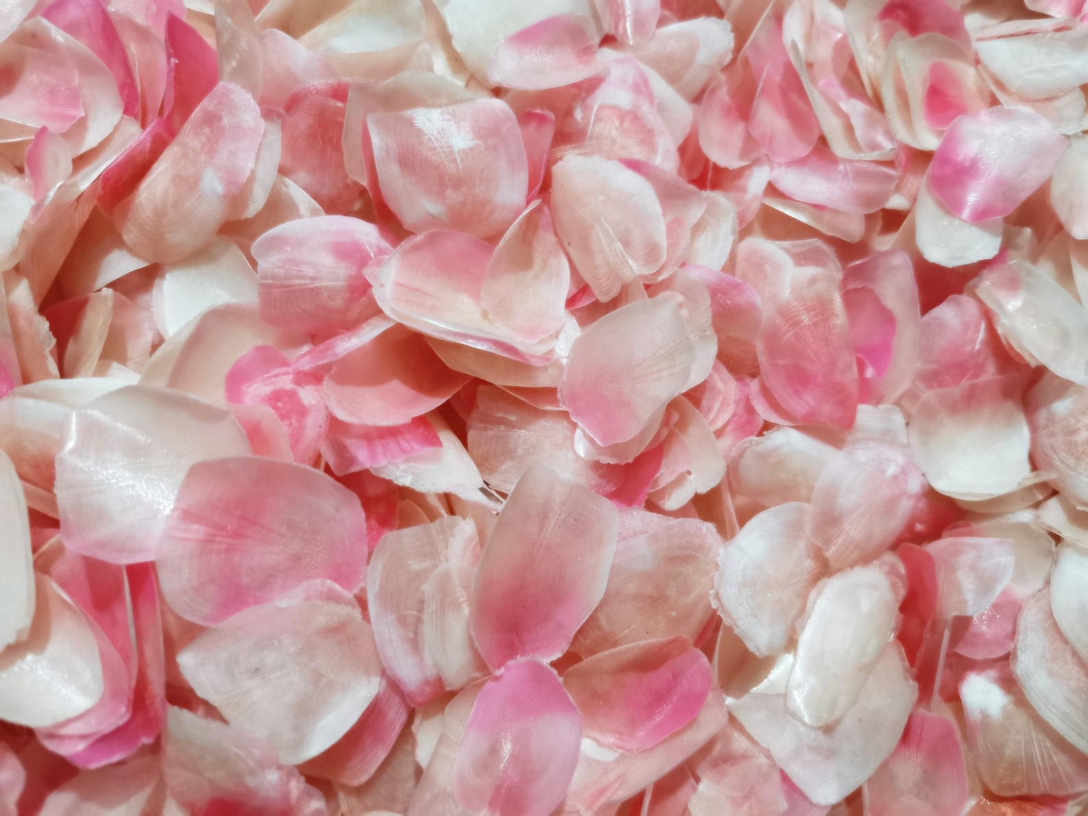 Genuine Light Pink Dyed Fish Scale 100g Natural Craft Supplies Jewelry ...