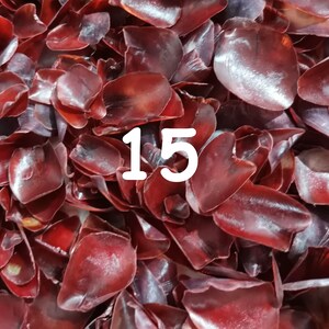 Genuine Dyed Fish Scale 100g Natural Craft Supplies Mosaic Jewelry ...