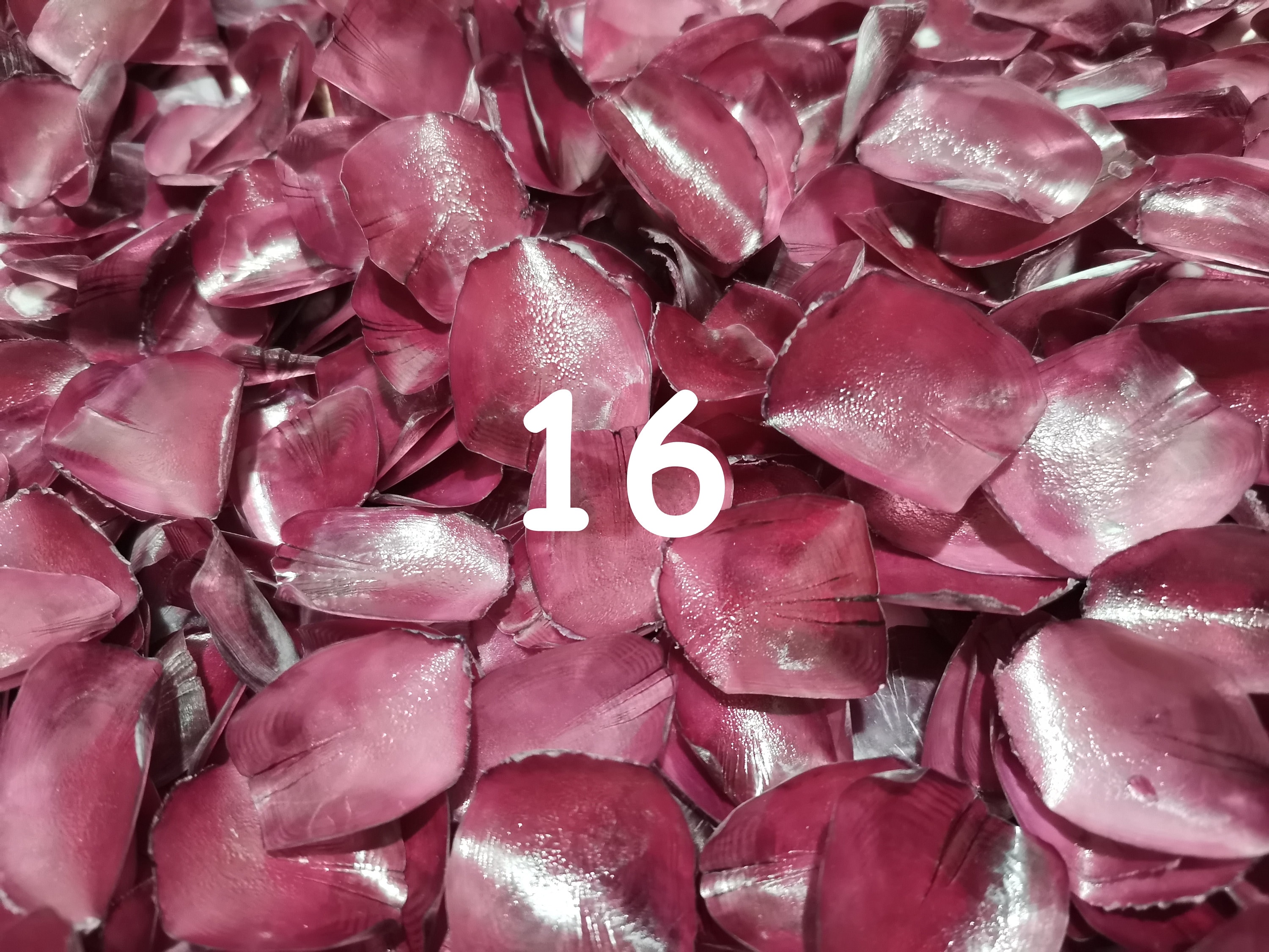 Genuine Dyed Fish Scale 100g Natural Craft Supplies Mosaic - Etsy