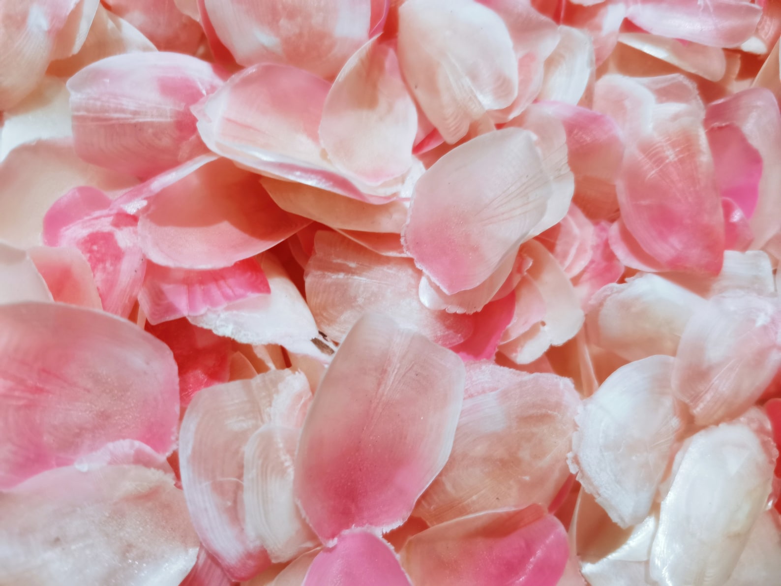 Genuine Light Pink Dyed Fish Scale 100g Natural Craft Supplies Jewelry ...