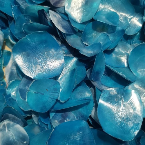 Genuine Dyed Fish Scale 100g Natural Craft Supplies Mosaic - Etsy