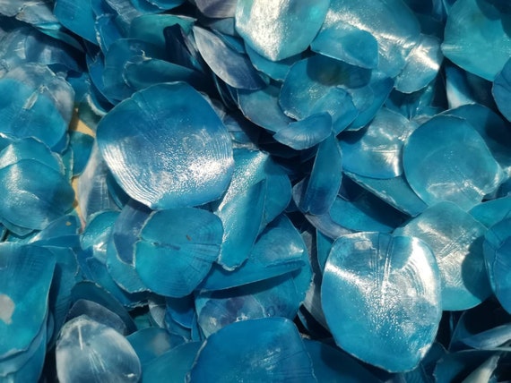 Genuine Dark Blue Dyed Fish Scale 100g Natural Craft Supplies - Etsy