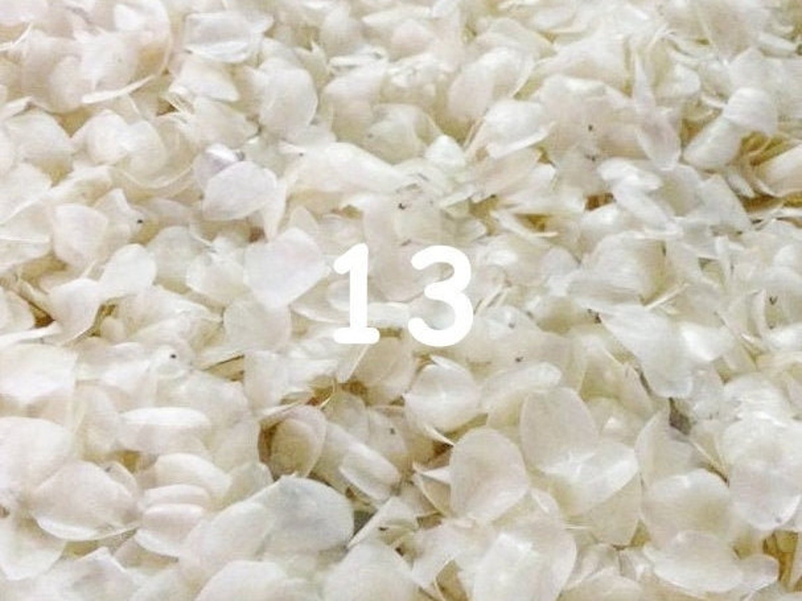 Genuine Dyed Fish Scale 100g Natural Craft Supplies Mosaic Jewelry ...