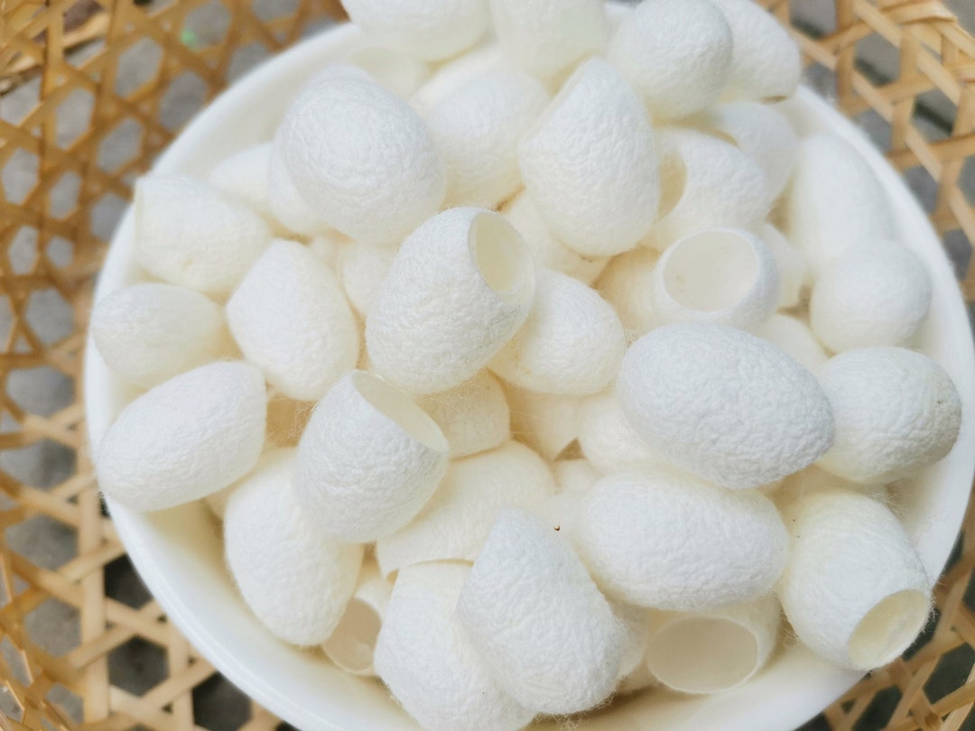 Organic White Silk Cocoons for Facial Scrub, Gentle Scrub for Sensitive ...