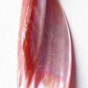 Pink Mussel Shell Designer Blade Cut Pendant Bead 71x16x3mm to ...