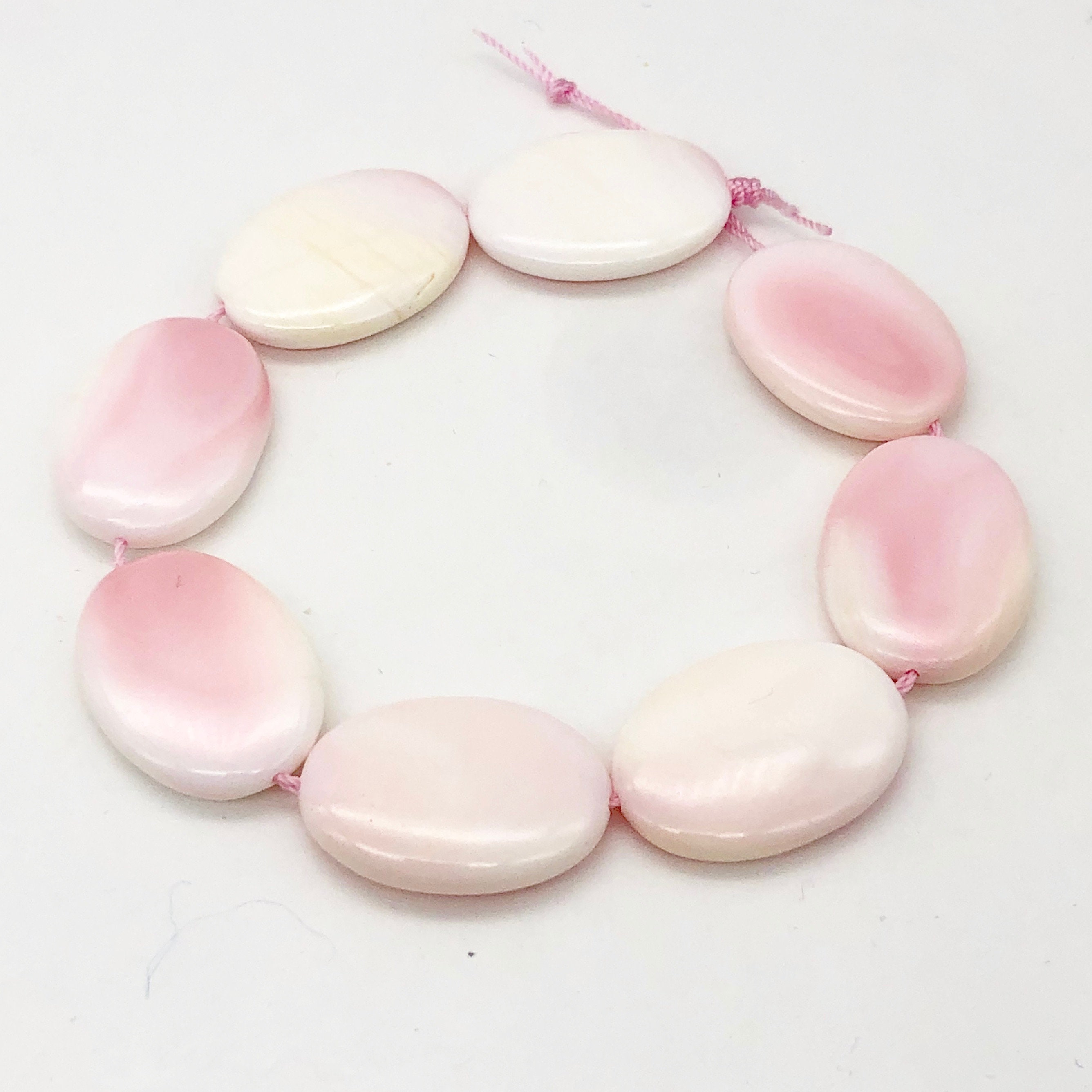 Conch Shell. Oval Half Strand 25x18x6mm Pink White 8 | Etsy
