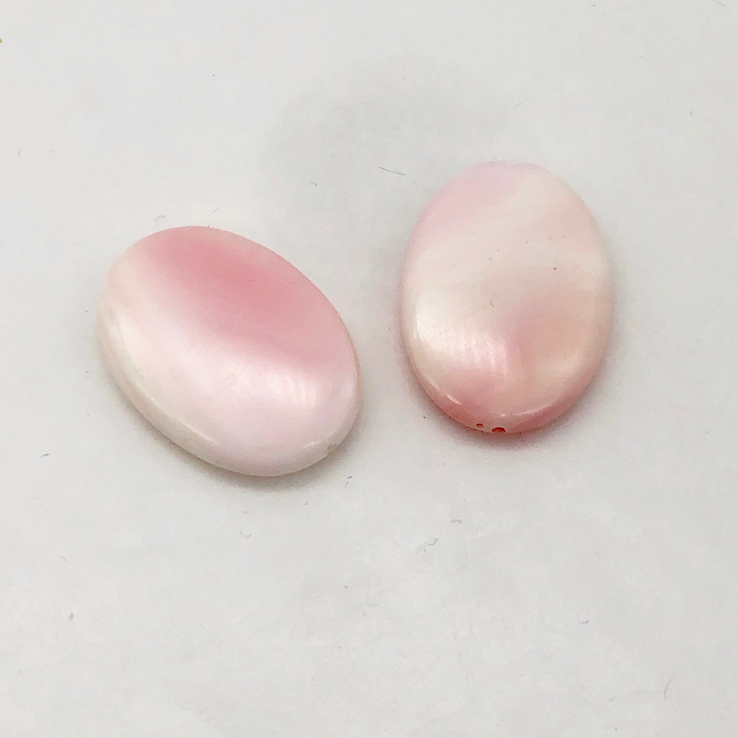 Conch Shell. Oval Half Strand 25x18x6mm Pink White 8 | Etsy