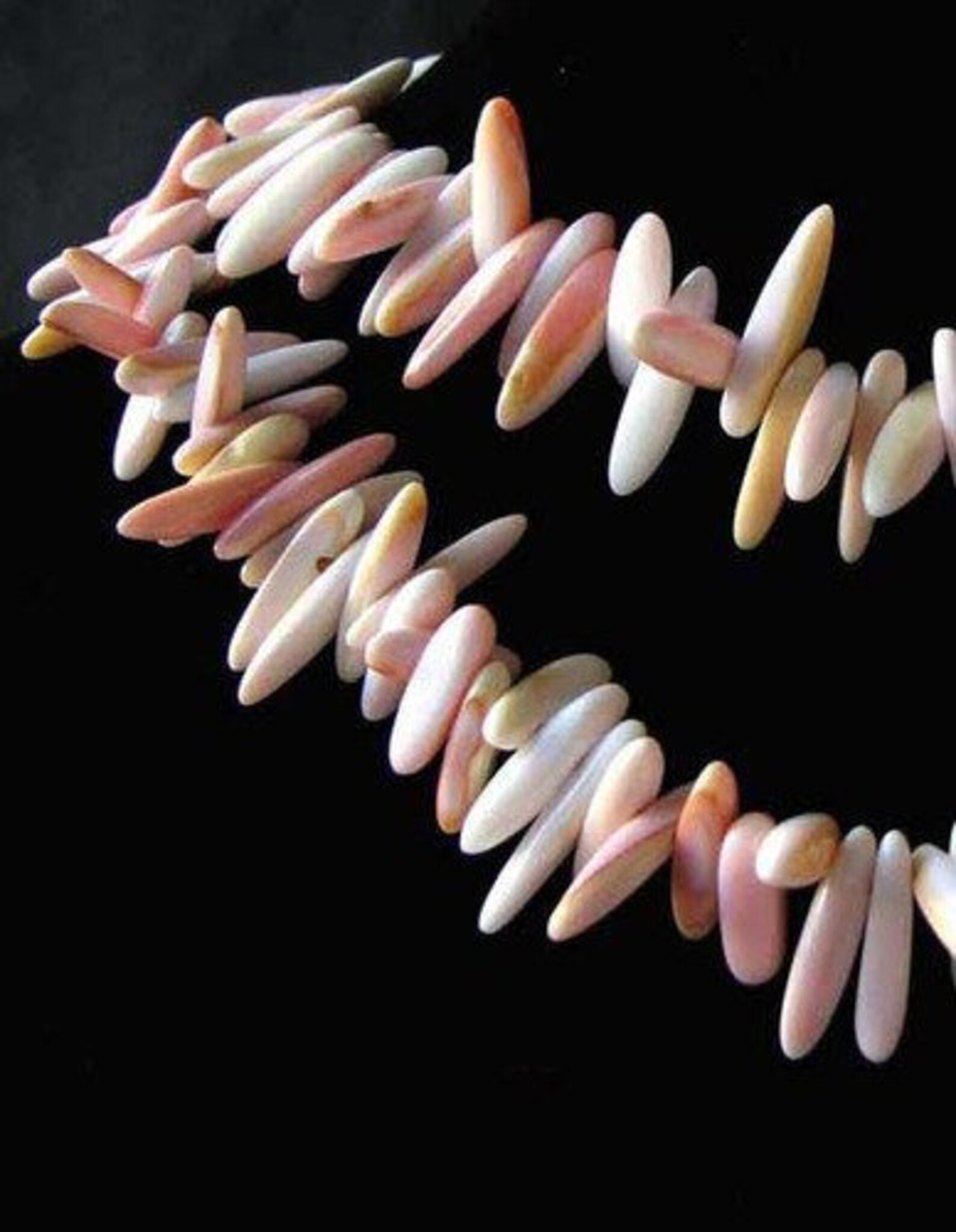 Pink Conch Shell Spike Briolette Beads 9x3x3mm to 15x4x3mm - Etsy UK