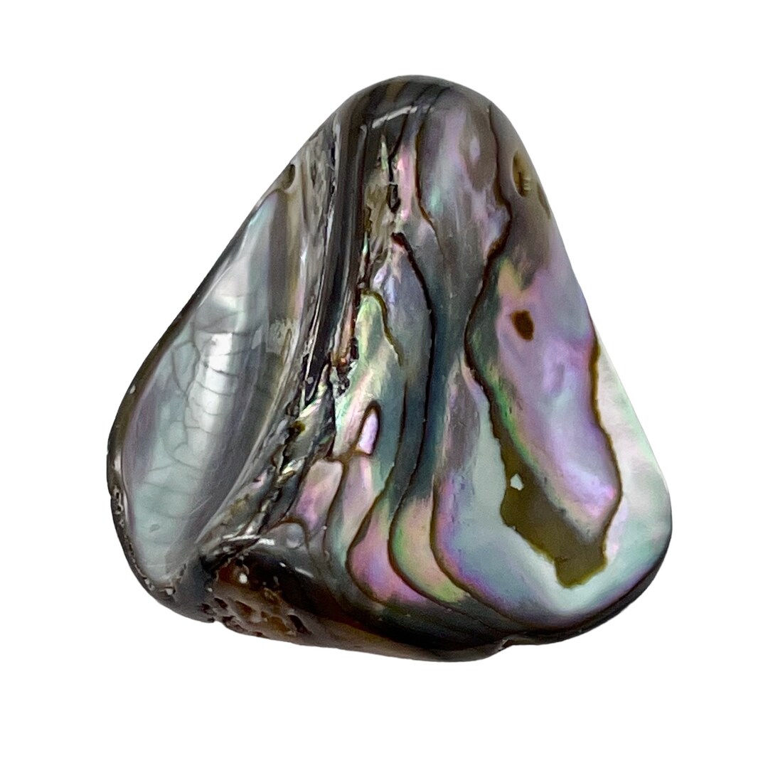 Abalone Hinge Shell 25x25x10mm Silver Pink 1 Pendant - Etsy