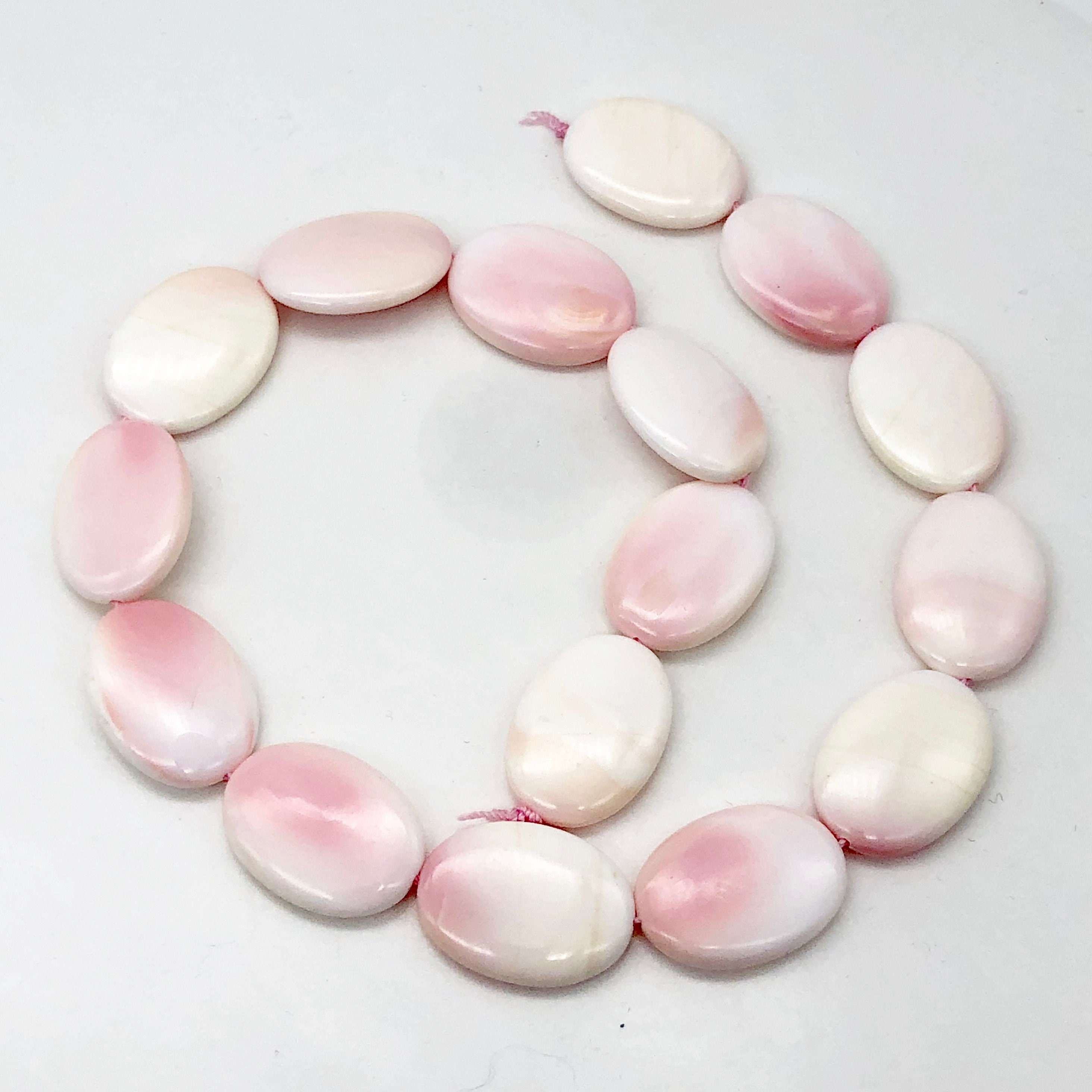 Conch Shell. Oval Half Strand 25x18x6mm Pink White 8 | Etsy