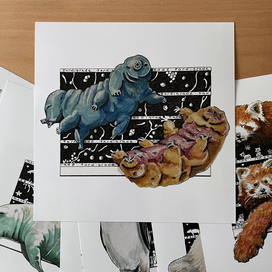 Colourful Tardigrade Art Print - Cute Hand-drawn Tardigrades, Printed ...