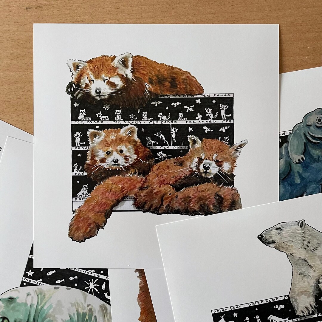 Red Panda Art Print Hand Drawn – Detailed Pen & Ink Illustration of ...