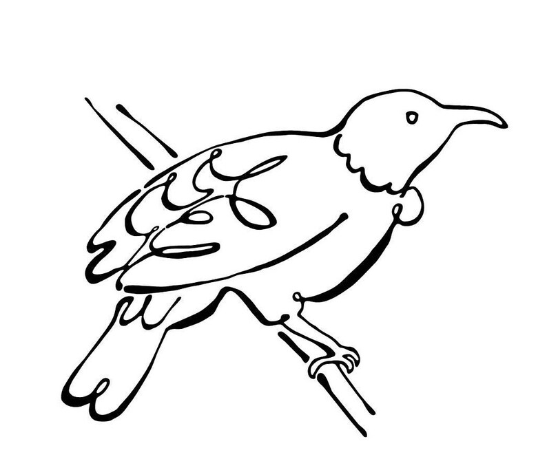 New Zealand Tui Illustration Scandinavian Nursery Prints - Etsy Australia