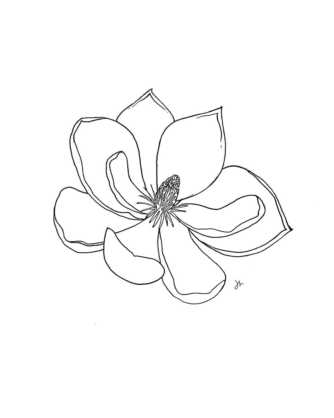 Magnolia Flower Print Louisiana State Flower digital | Etsy