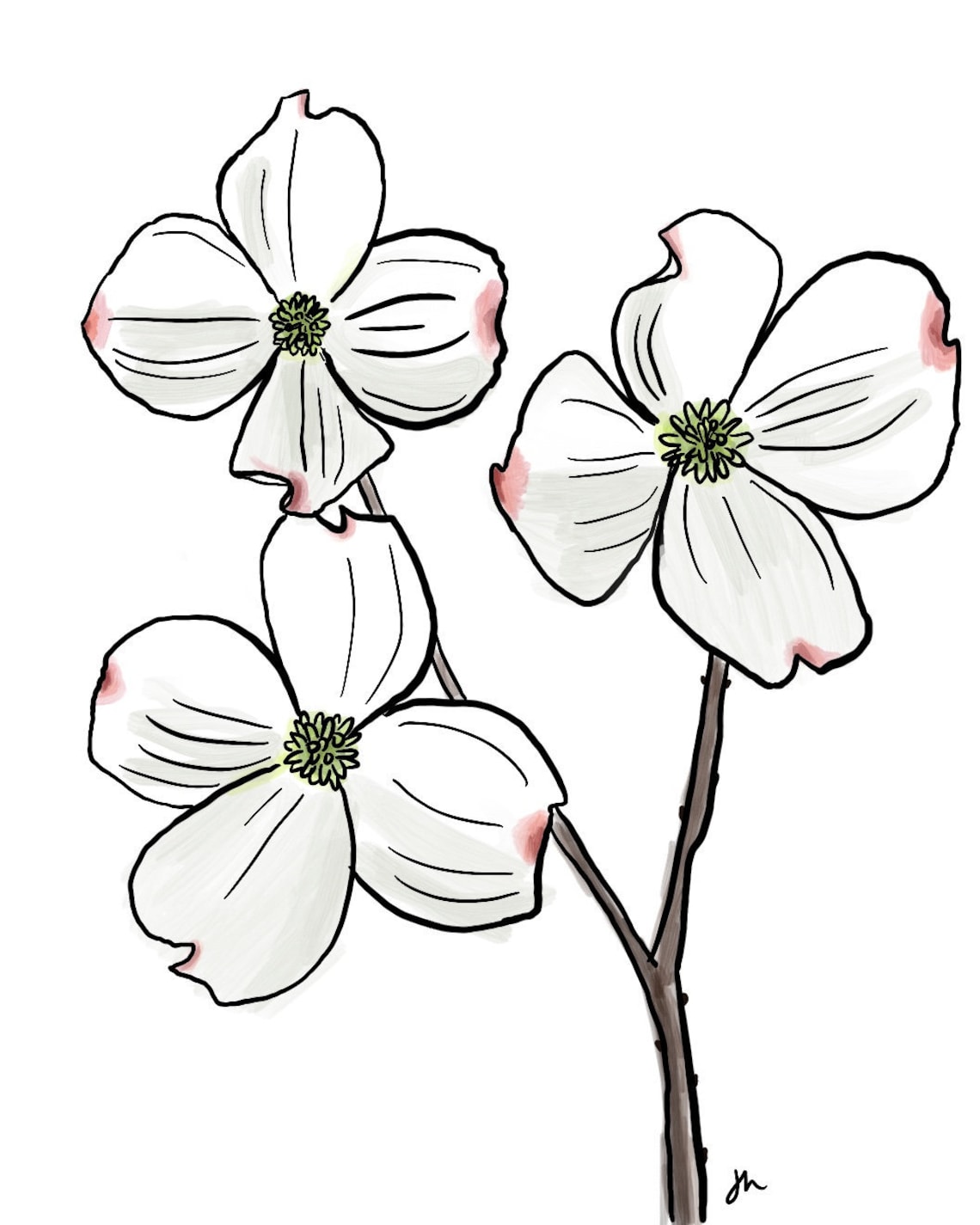 Dogwood Watercolor - North Carolina State Flower (digital Download) - Etsy