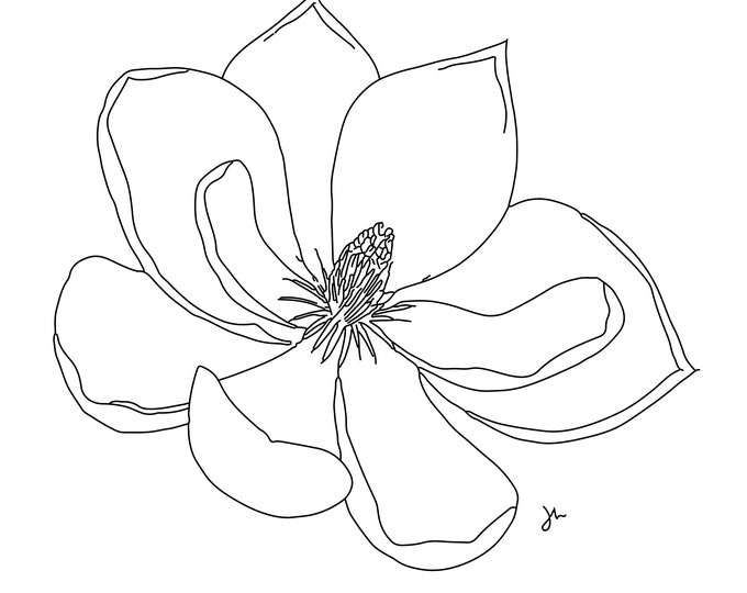 Magnolia Flower Print Louisiana State Flower digital - Etsy