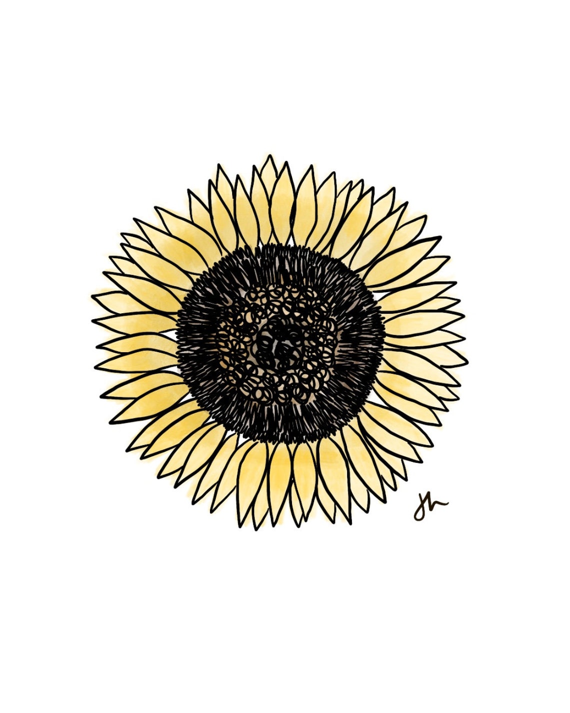Sunflower Watercolor, Kansas State Flower, (digital Download) - Etsy