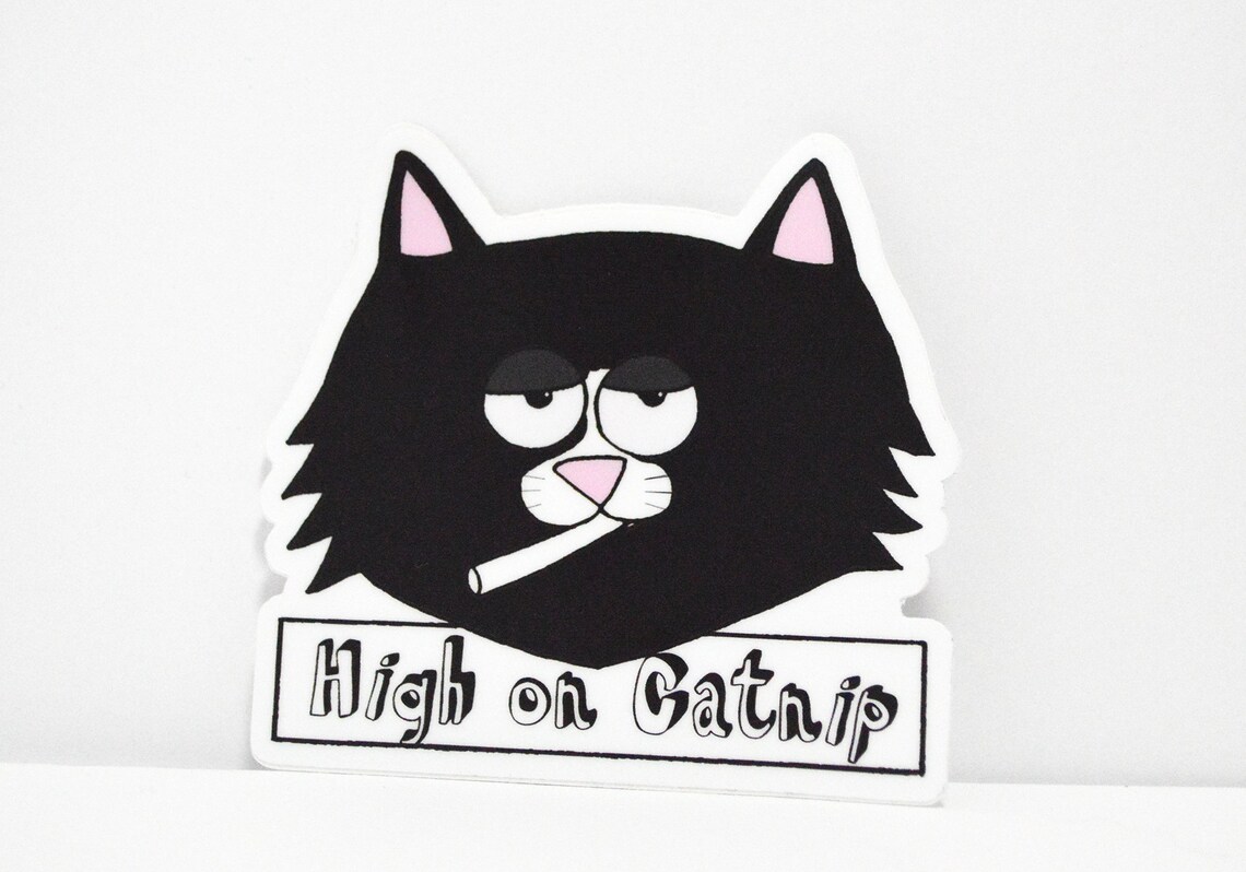 High on Catnip Sticker Vinyl Cat Sticker Laptop Stickers Cute | Etsy