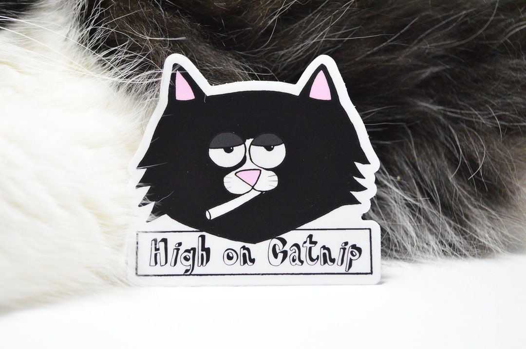 High on Catnip Sticker Vinyl Cat Sticker Laptop Stickers Cute Cat ...